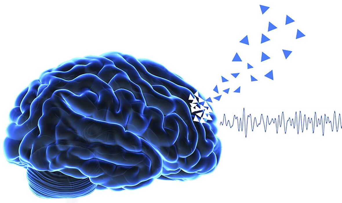 NBIC Science Newsline - July 2023